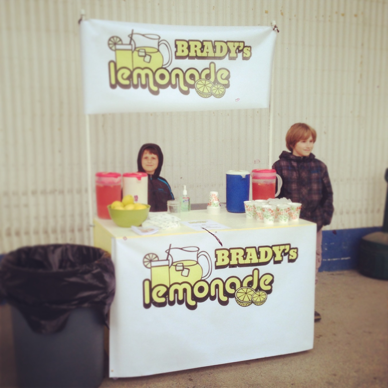 For more Alaska from Scratch fresh-squeezed lemonade recipes, try: